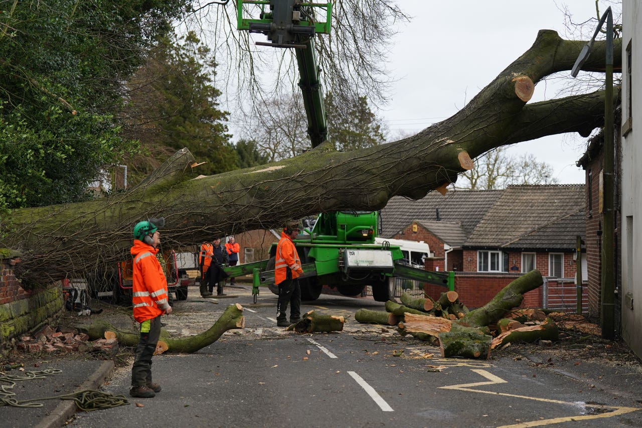 Fallen trees cause injury, damage and disruption as Storm Pia winds hit ...