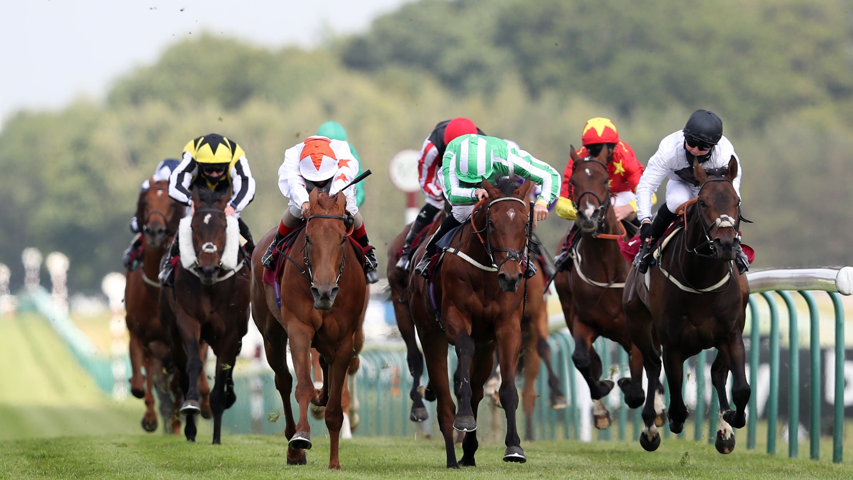 Peter Chapple-Hyam upbeat on Bahrani Star chance in Investec Oaks