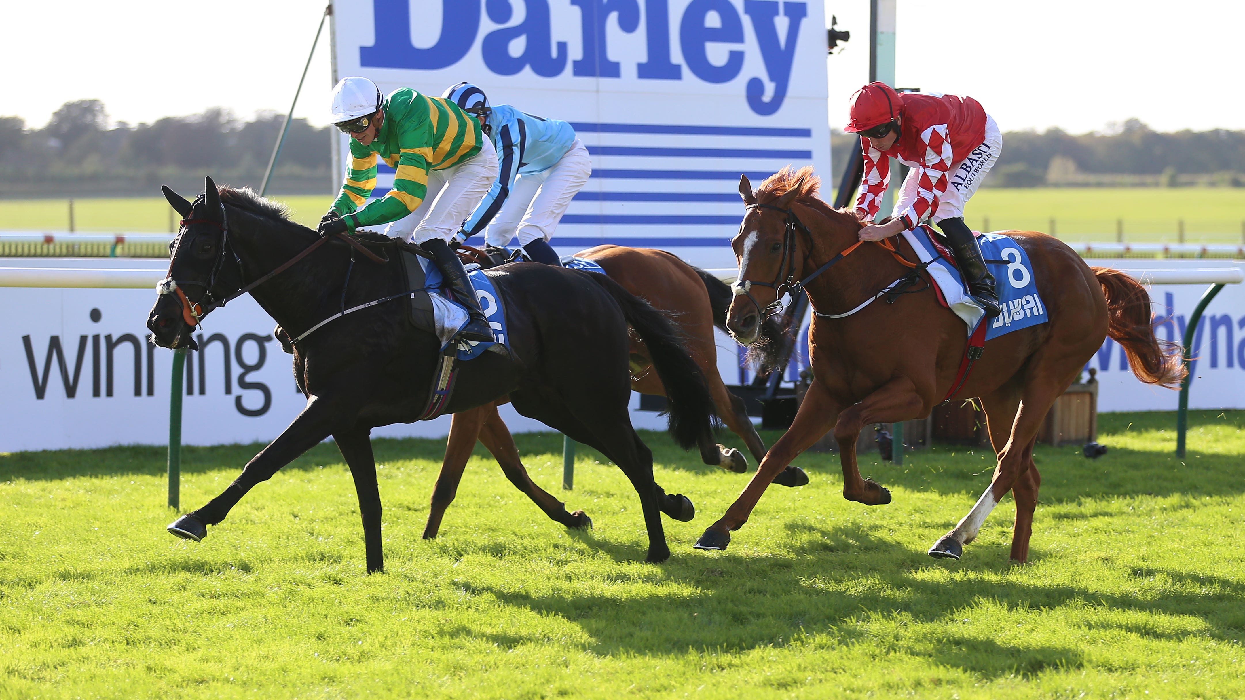 The Shunter realises long-term plan with Cesarewitch strike