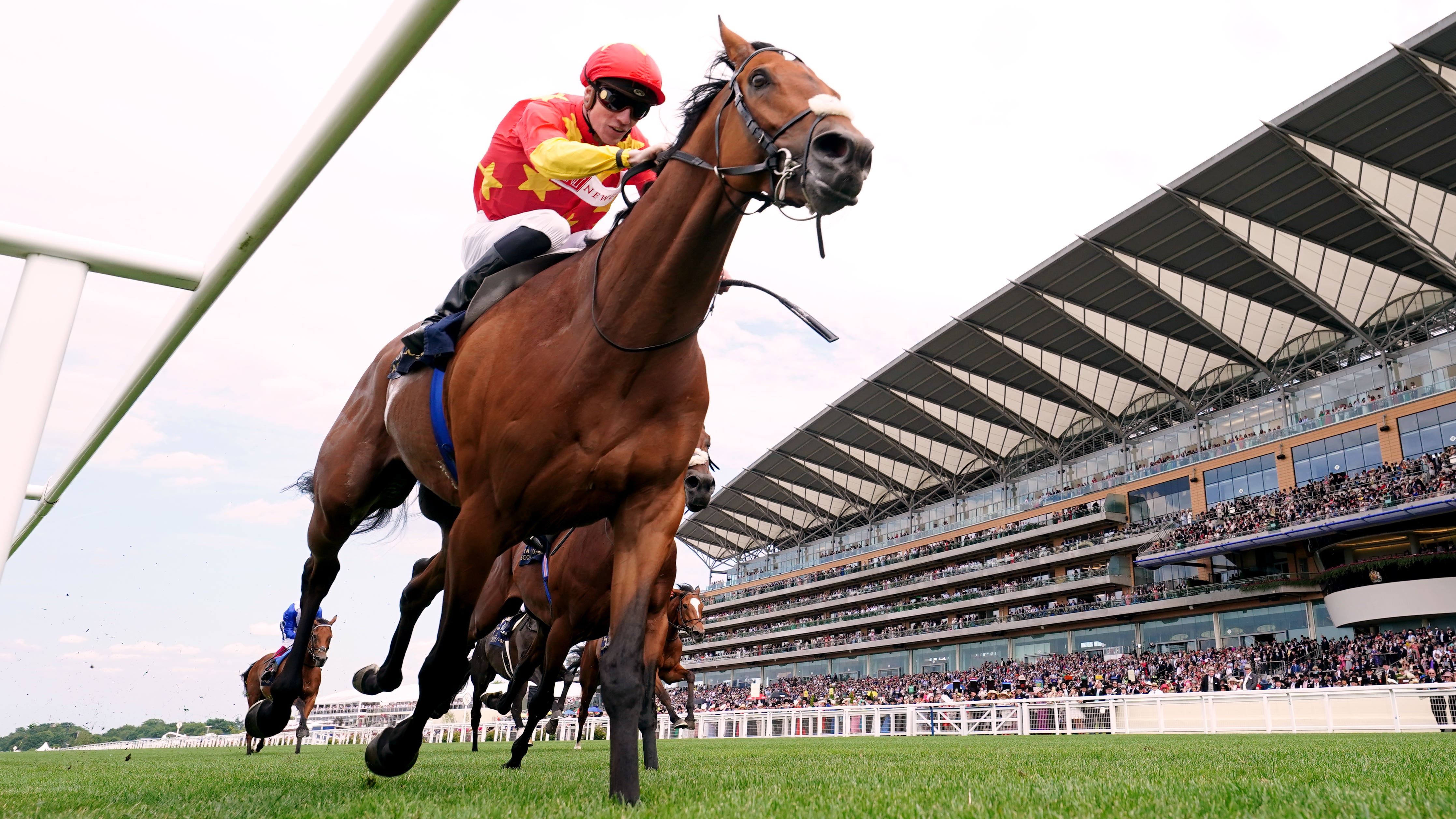 Royal Ascot day two – in pictures