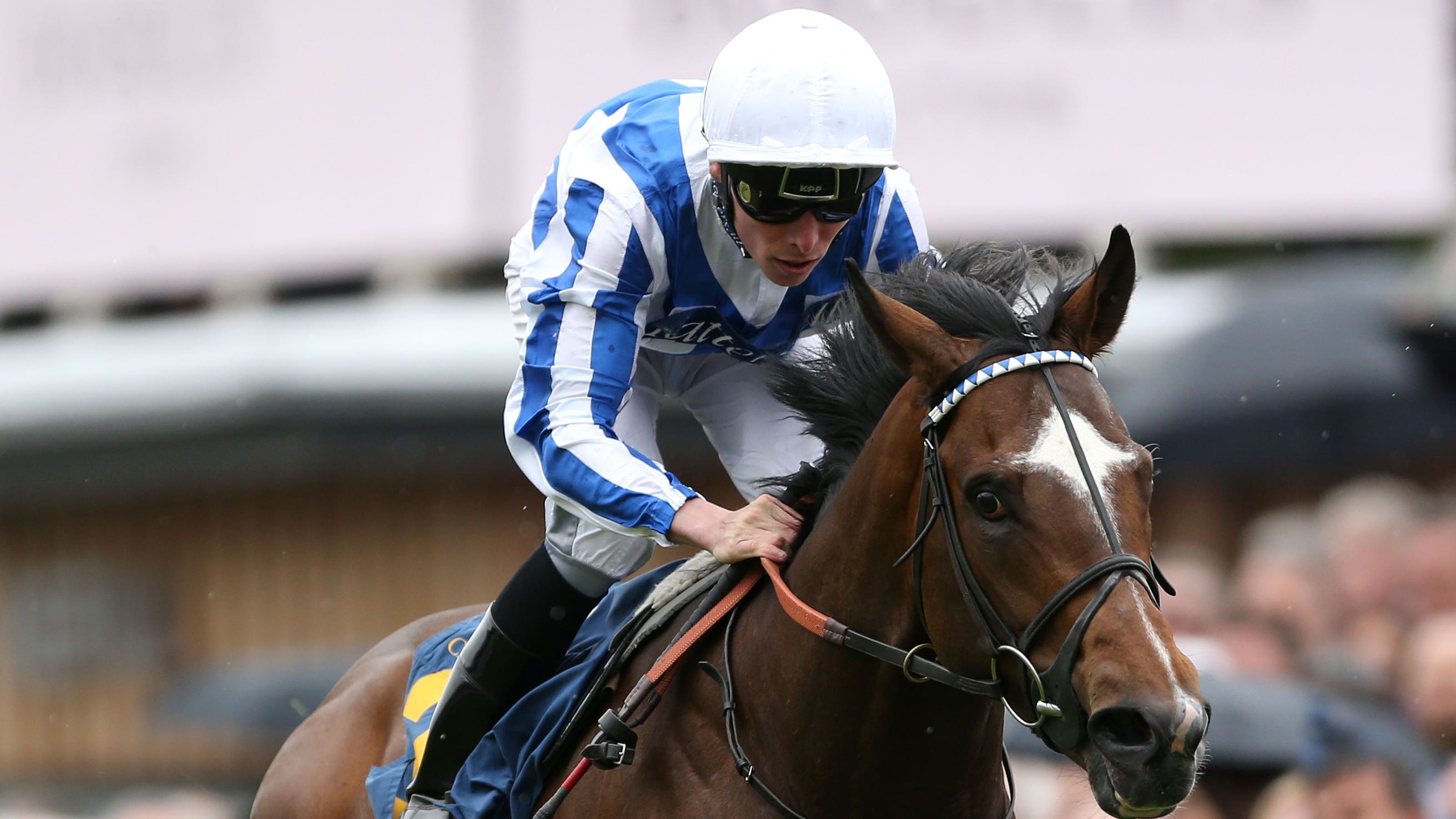 Tipperary preview: William Jarvis states Concorde case for Chief Ironside