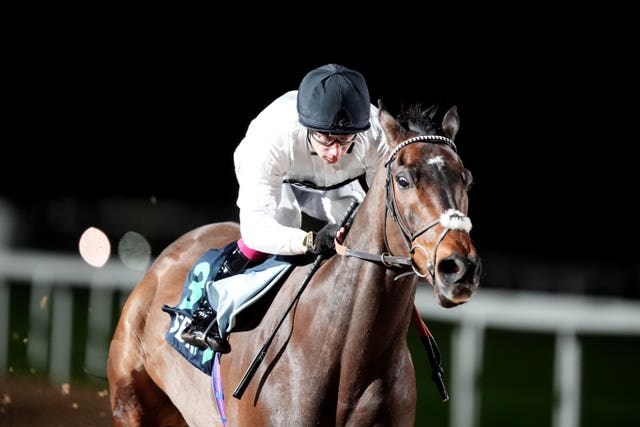 Royal Ascot is always the primary focus for Oisin Murphy | Enfield ...