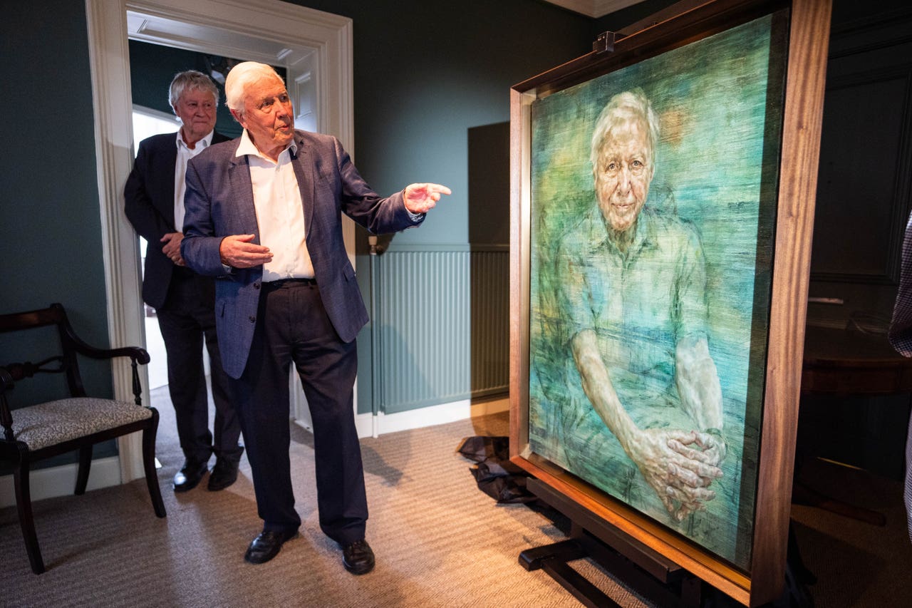 Portrait of Sir David Attenborough by Jonathan Yeo unveiled by Royal ...