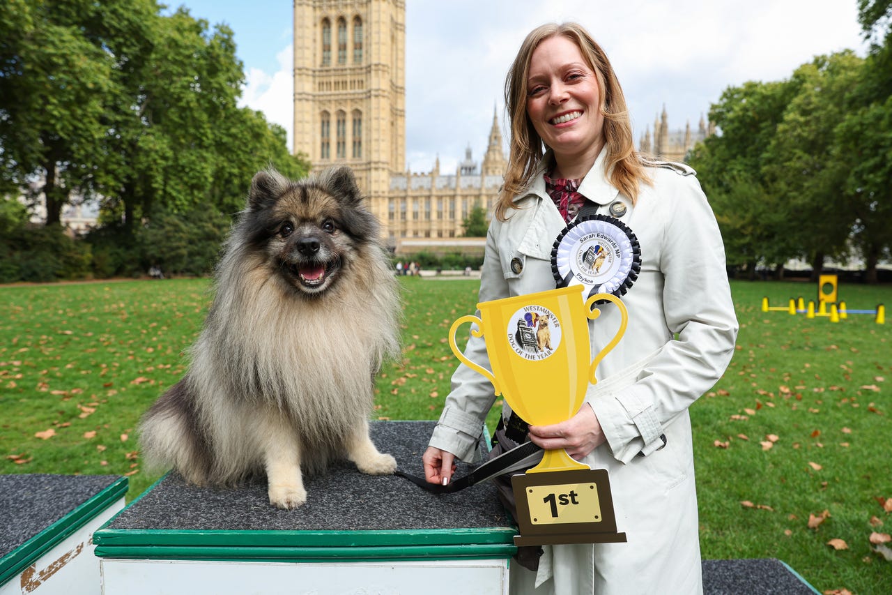 MPs joined by four-legged friends for Westminster dog show | Leigh Journal