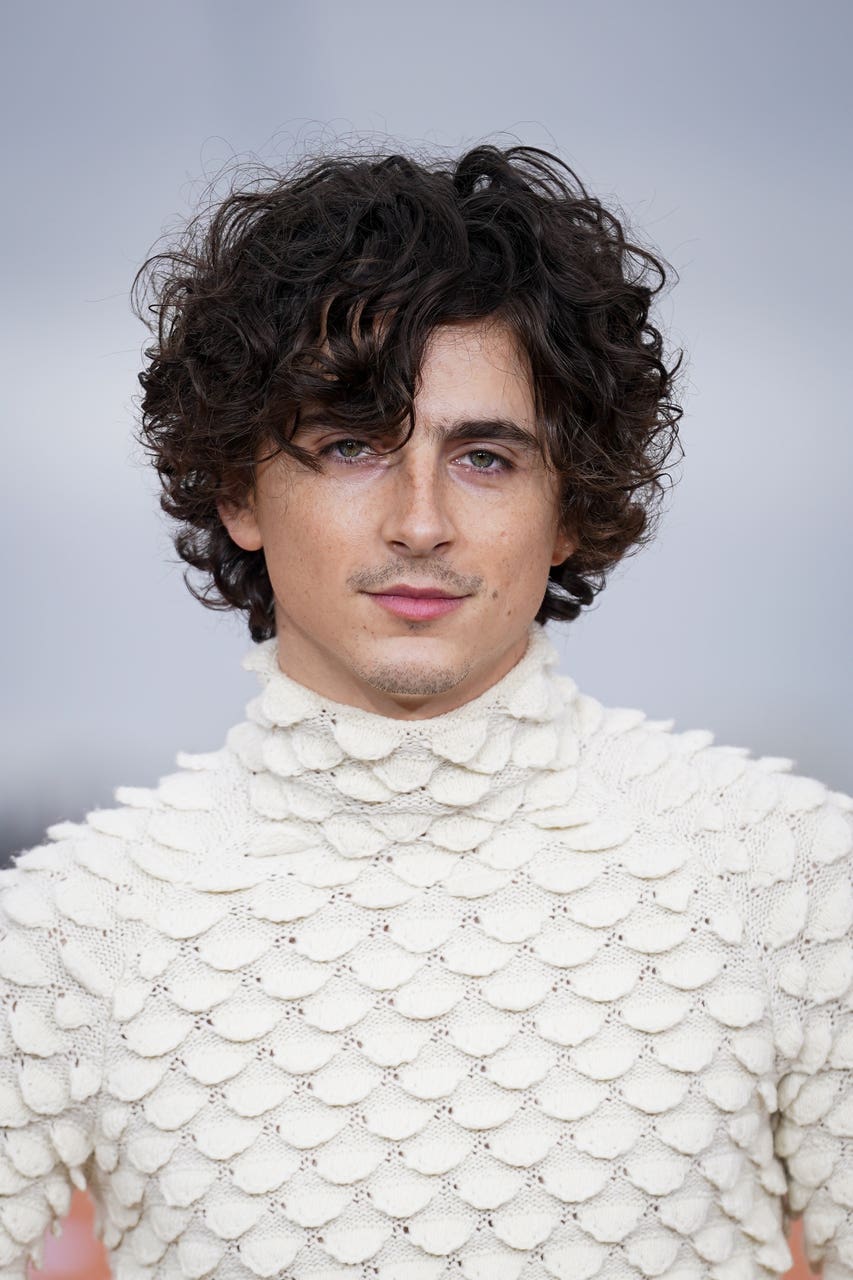 Timothee Chalamet makes surprise appearance at his own look-alike ...
