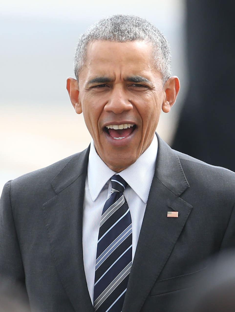 Look, it’s Barack Obaa-ma… sheep learn to recognise celebrity faces ...