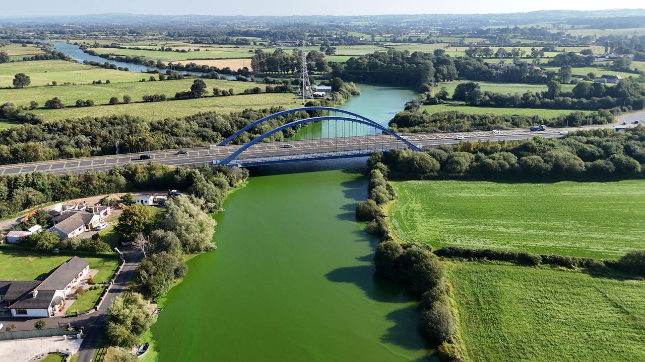 Recovery of Lough Neagh ‘will take years, if not decades’, says Muir ...