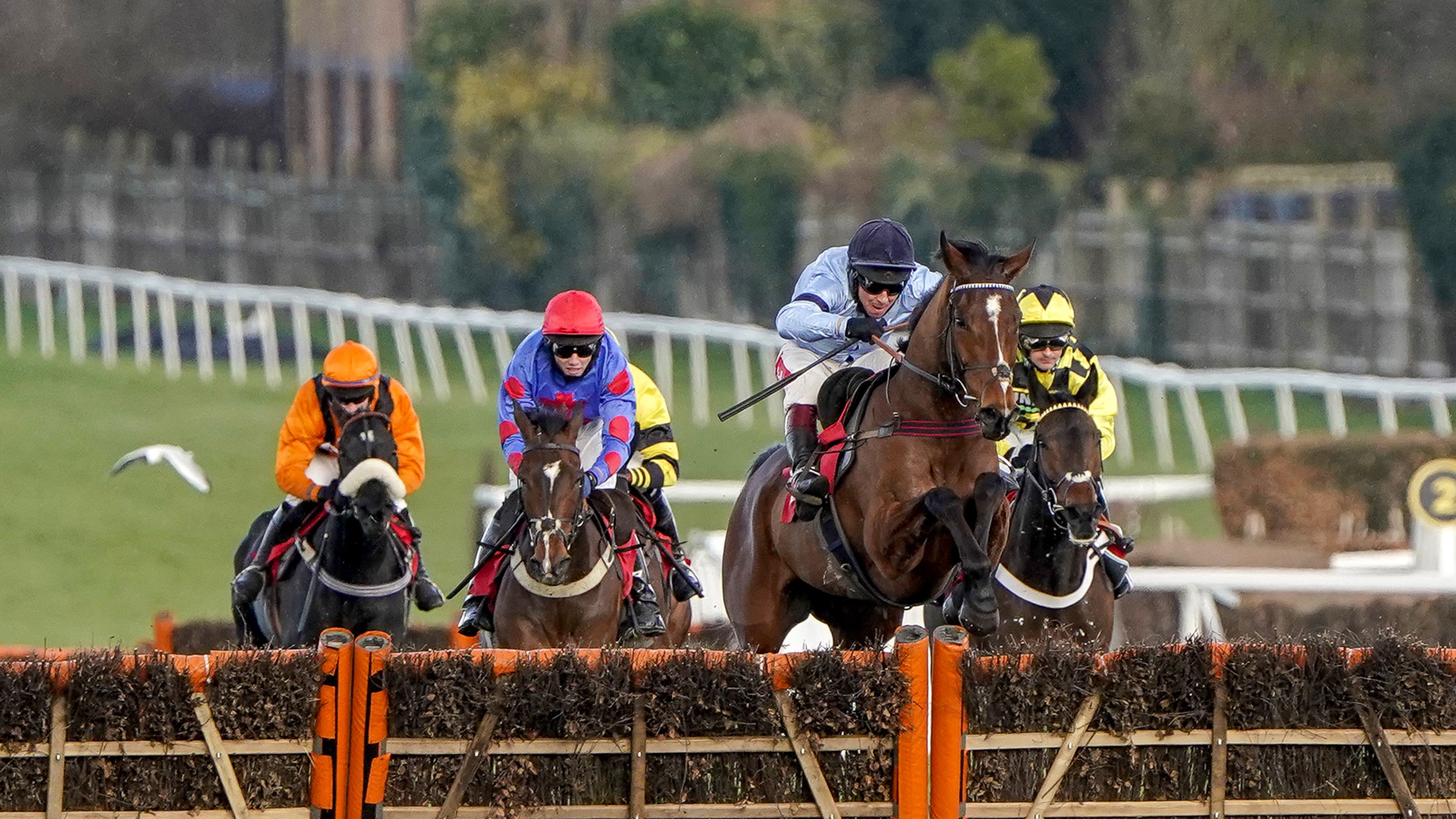 Orbys Legend provides Hobbs and O’Brien with Silver Trophy gold