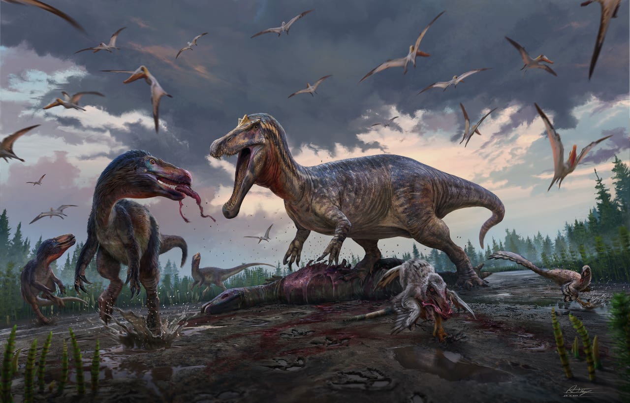 Teeth find shows meat-eating dinosaurs roamed East Sussex 135 million ...