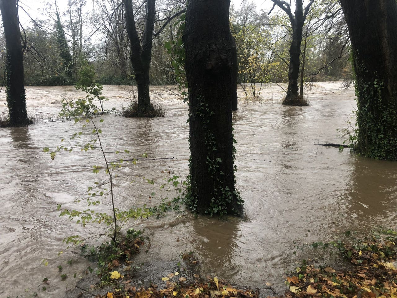 Storm Bert disruption continues as full impact of treacherous weather ...