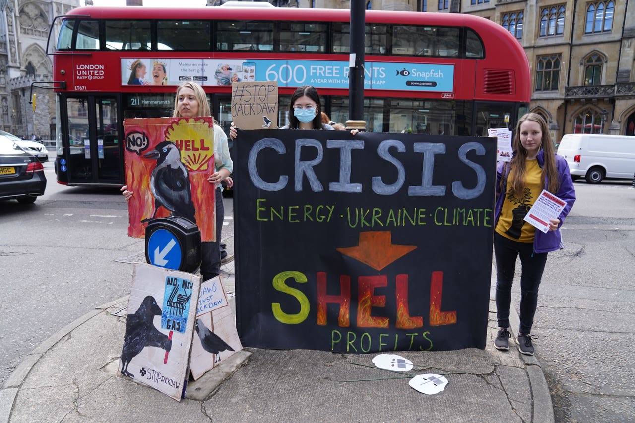 Shell forced to pause shareholder meeting amid climate protest | Daily Echo
