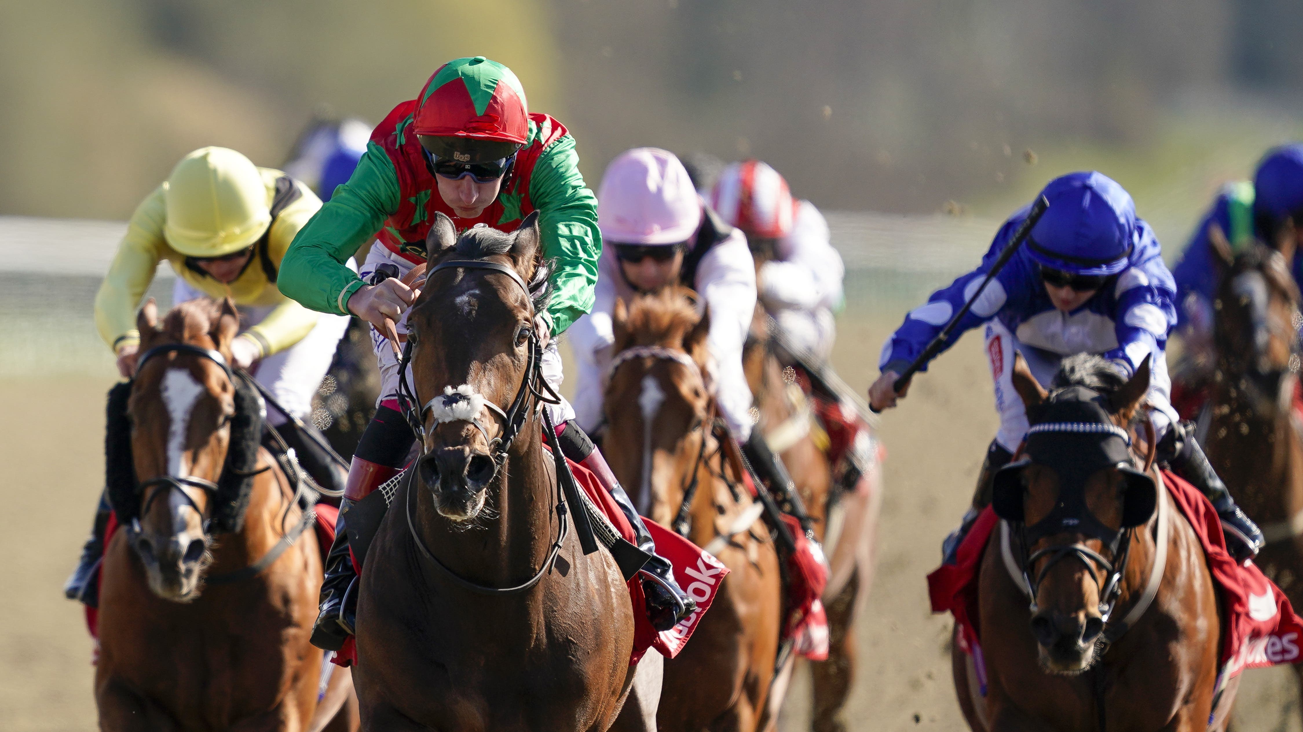 Cox anticipating improvement from Doncaster second Diligent Harry