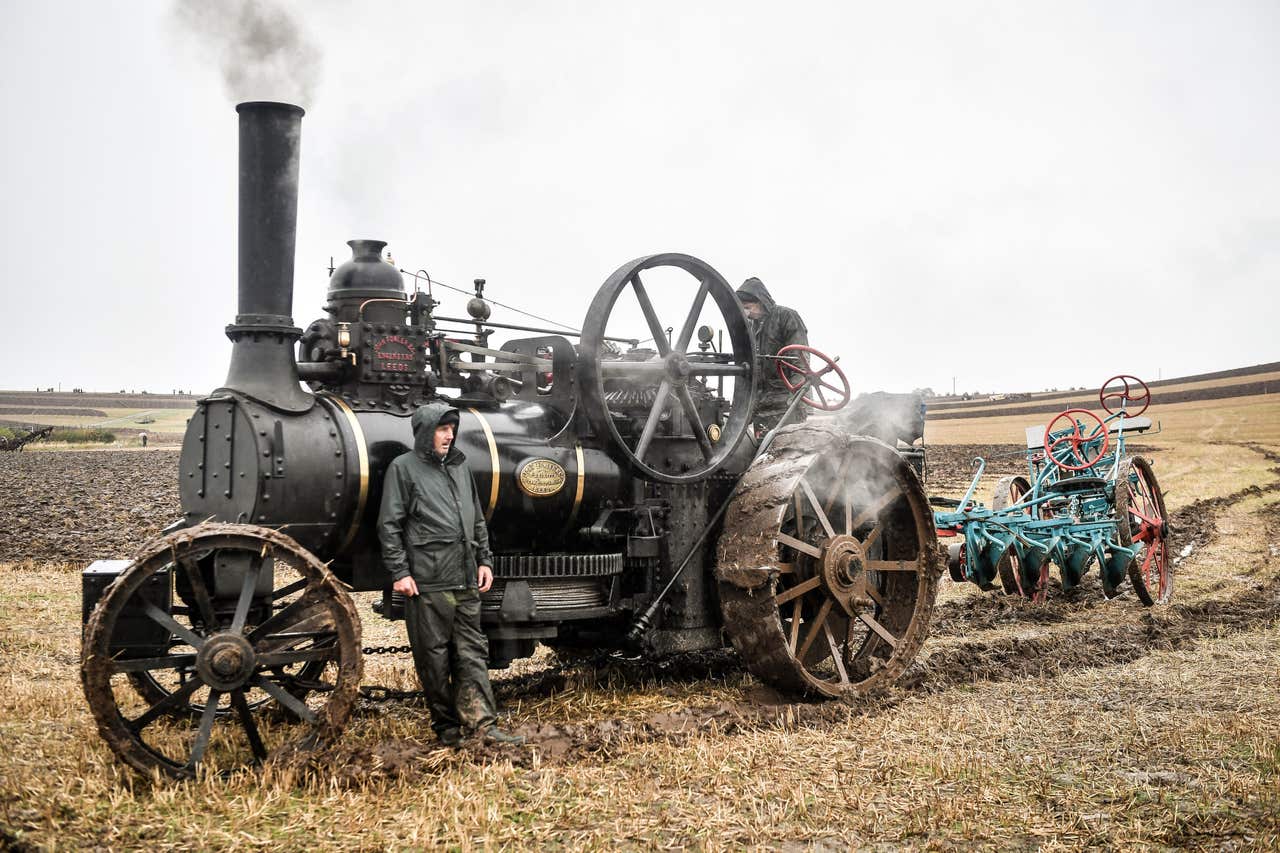 In pictures: Heavy horses and steam engines at National Ploughing ...