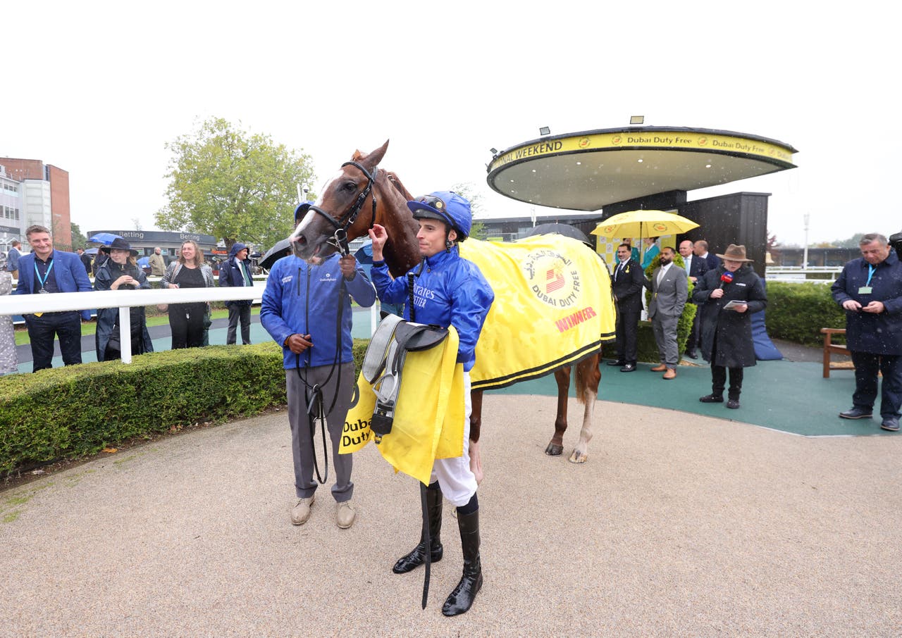 Words Of Truth denies Into The Sky in Mill Reef | Echo