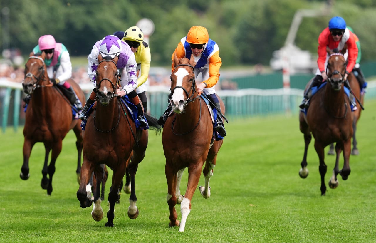 John of Gaunt win for Ten Bob Tony puts gloss on day Ed Walker will ...