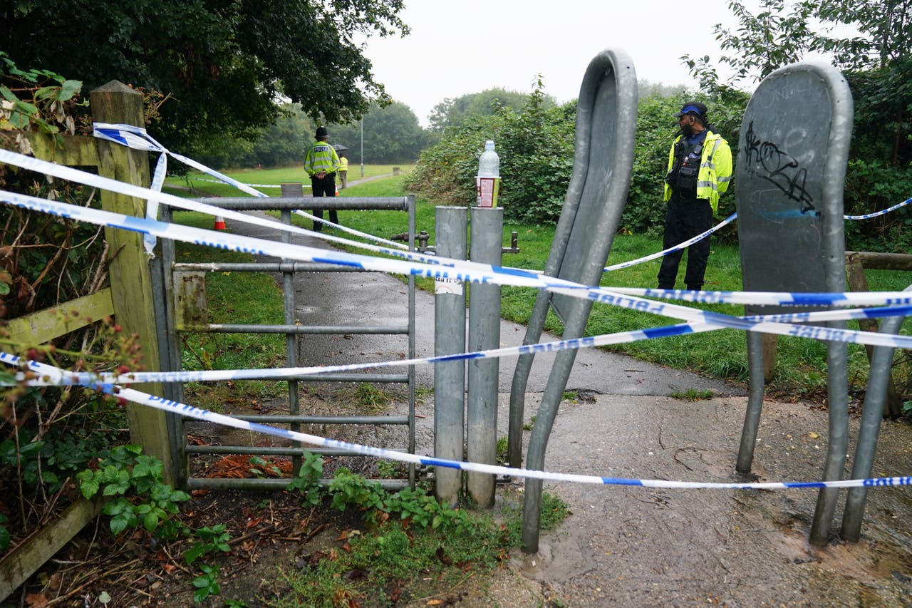 OAP killed in park assault ‘slapped with shoe by masked child’, court ...