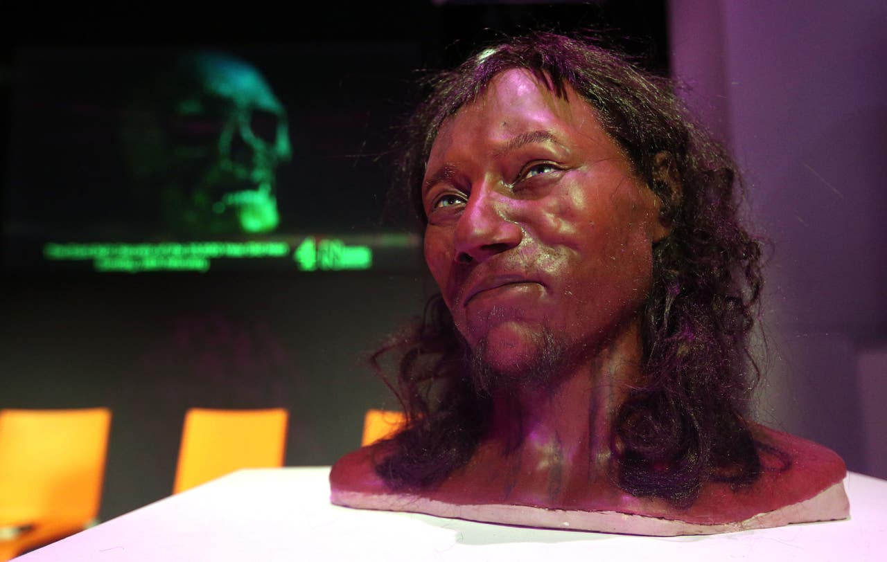 Scientific face of first Briton inspires flurry of cheesy jokes ...