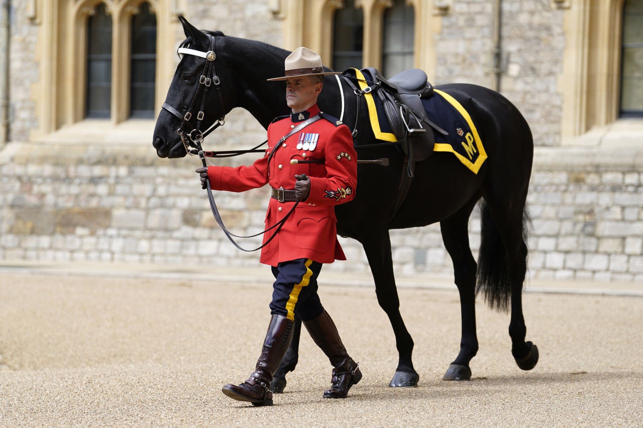 King presented with new royal horse and commemorative sword at Windsor ...