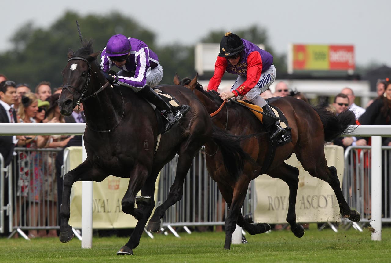 The cream of the crop of O’Brien’s Royal Ascot century | East London ...