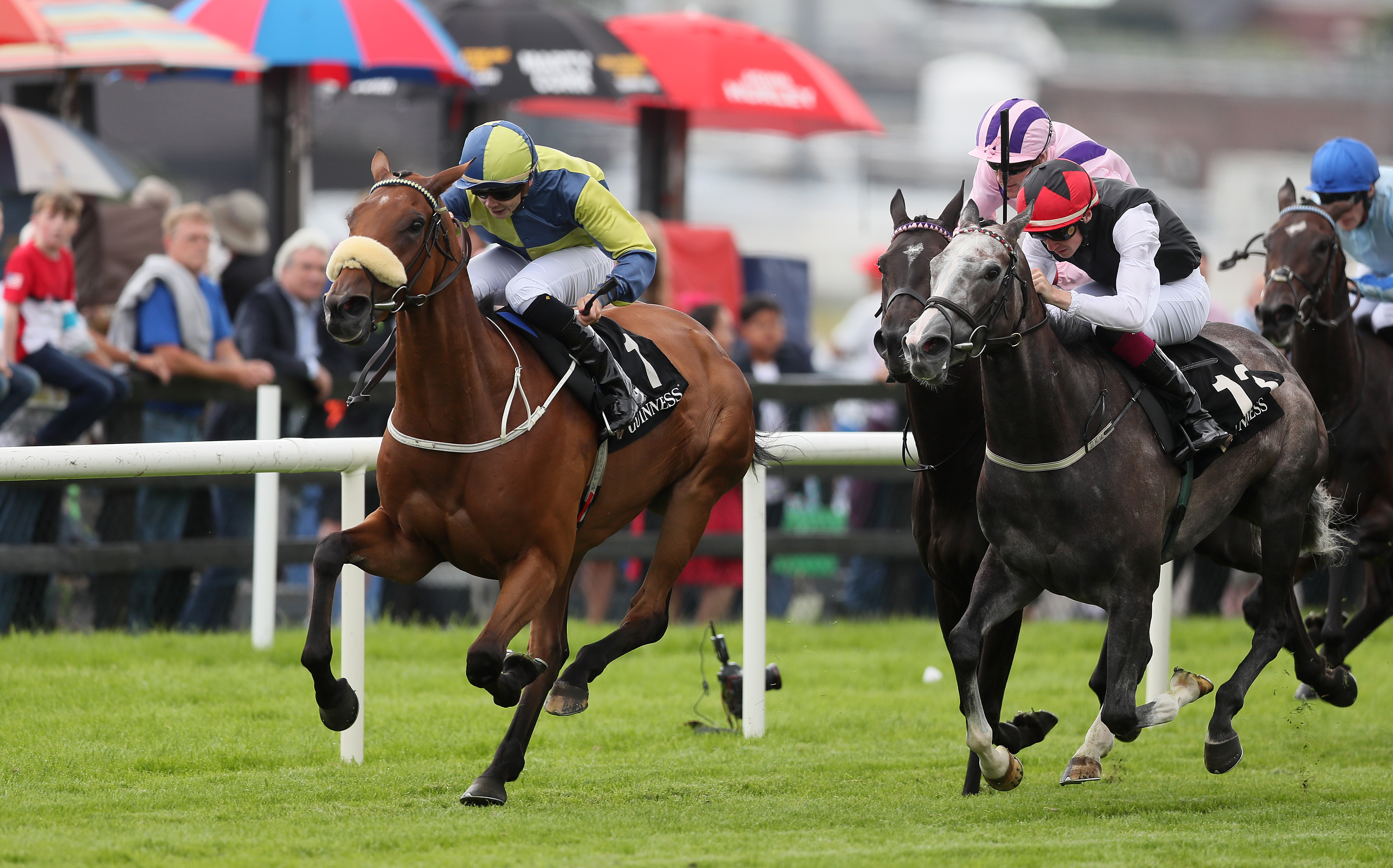 Tipperary preview: Skitter Scatter "will definitely improve for run"