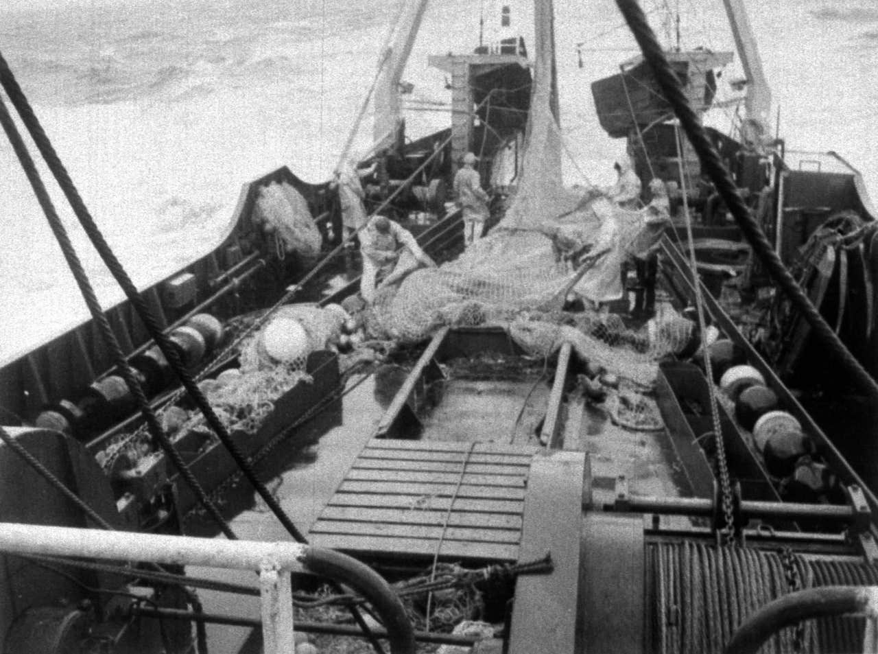 What were the ‘cod wars’ between the UK and Iceland? | Isle of Wight ...