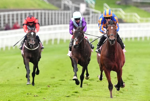 Constitution River delivers impressive Dee Stakes performance | Runcorn ...