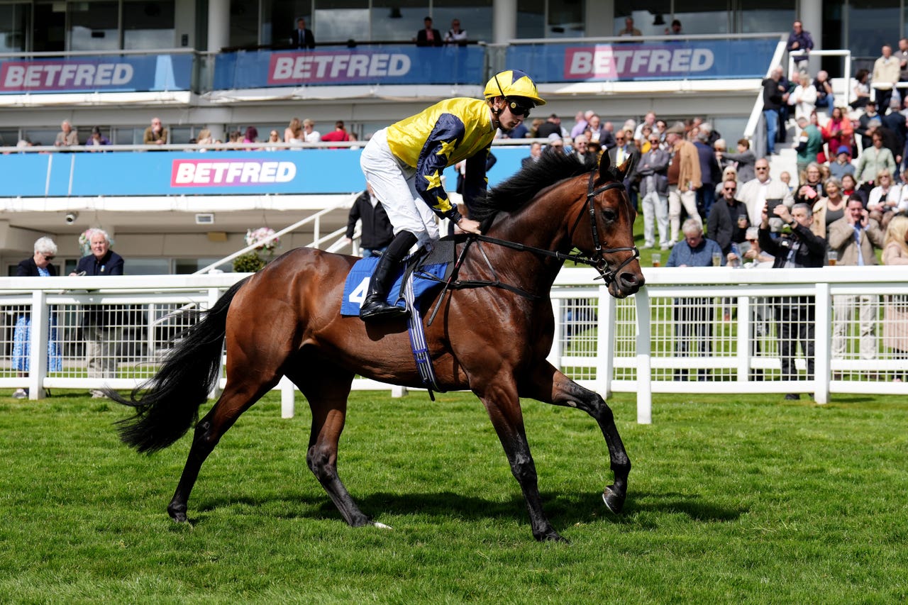Sea Scout battles on bravely to land Blue Riband Trial | Western Telegraph