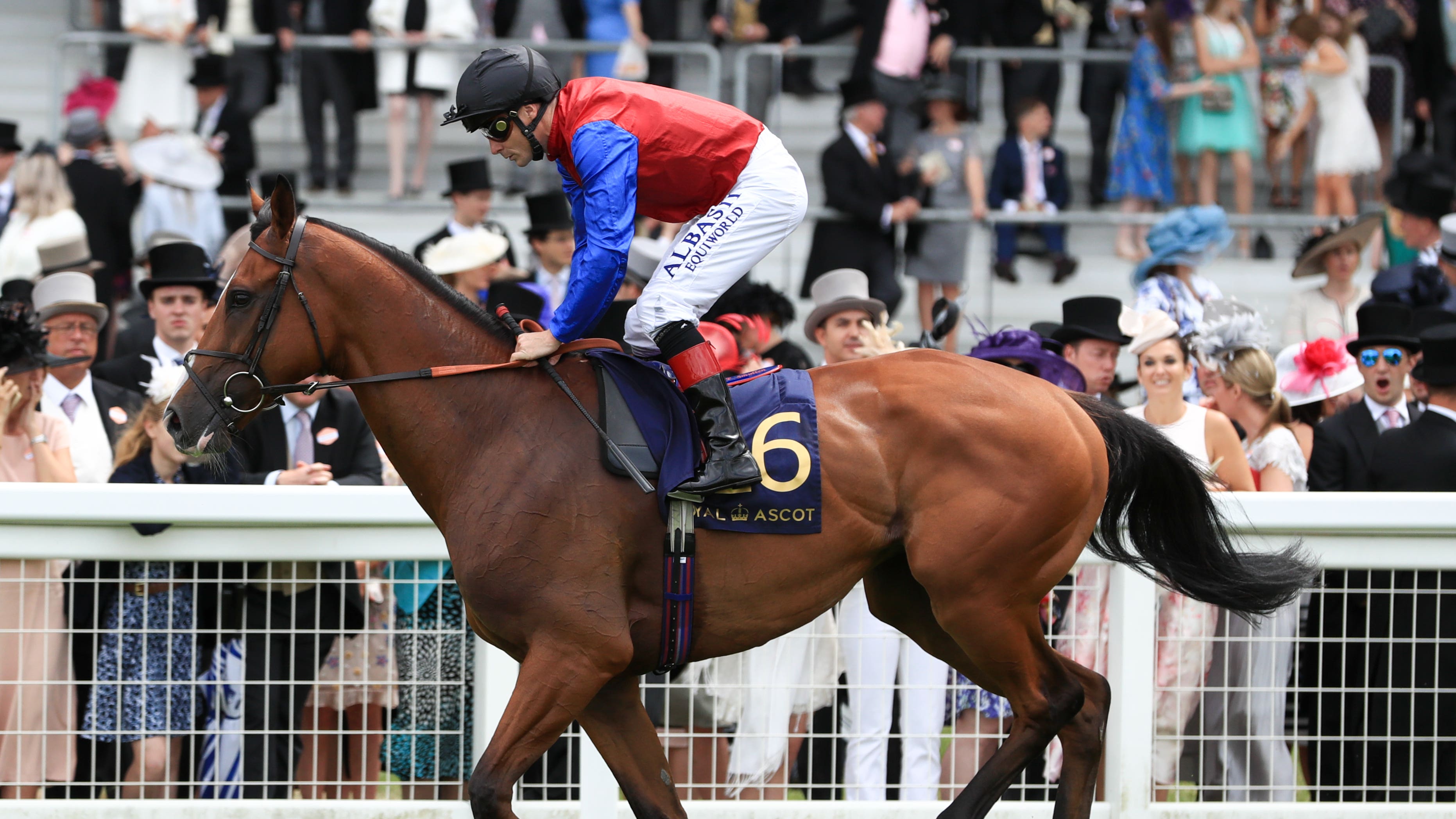 Jamie Snowden sets Pacify Listed test at Kempton on Sunday