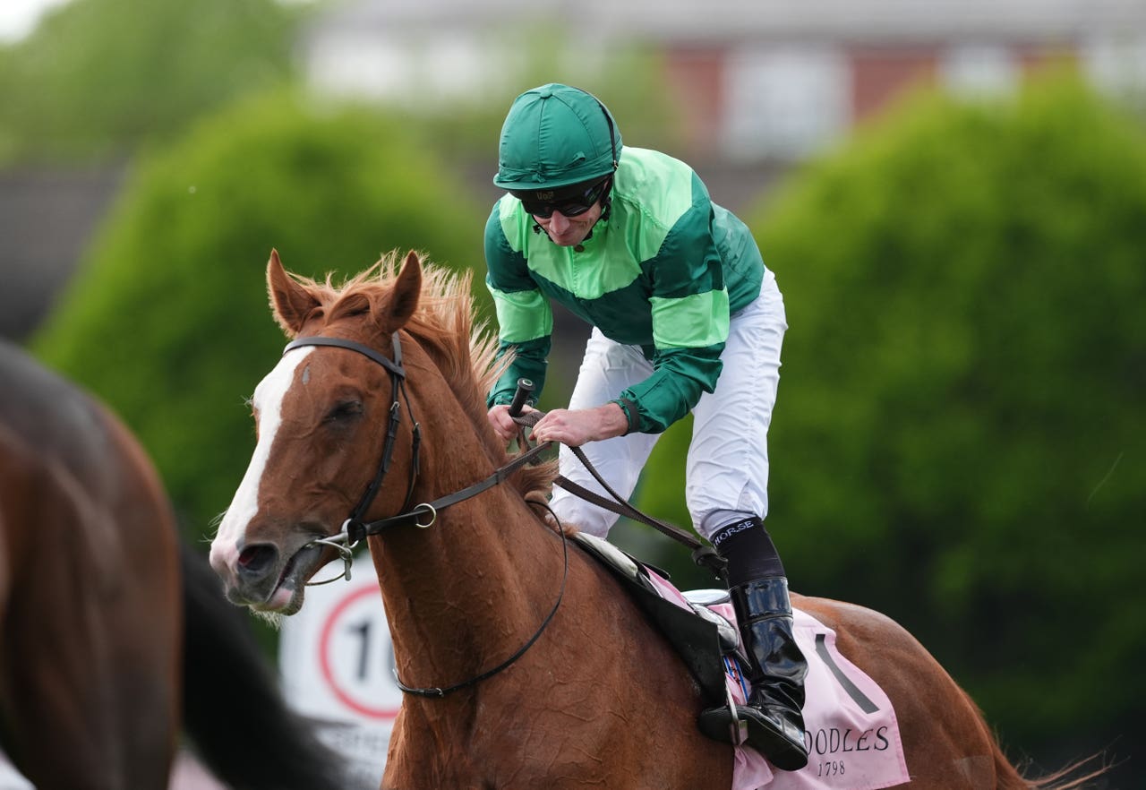 O’Brien eyes 12th Derby victory in ‘ultimate test’ of a thoroughbred ...