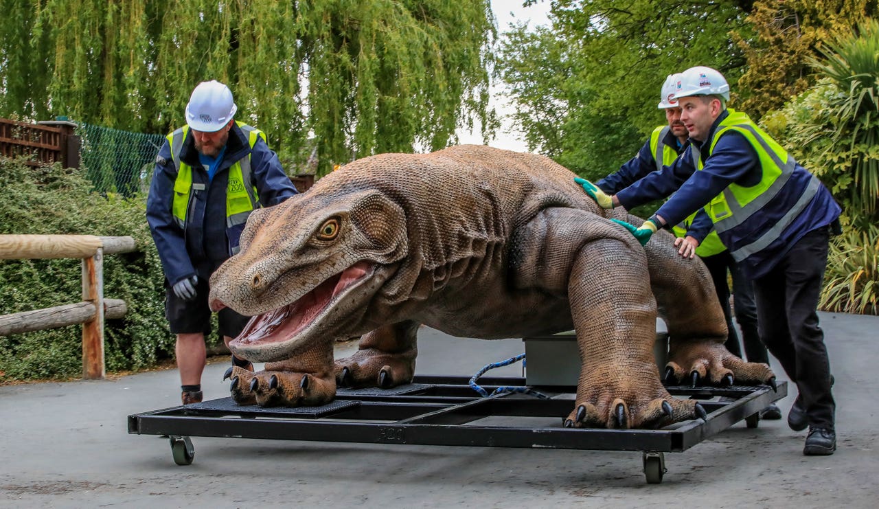 In Pictures: Giant animatronic predators arrive at Chester Zoo ...