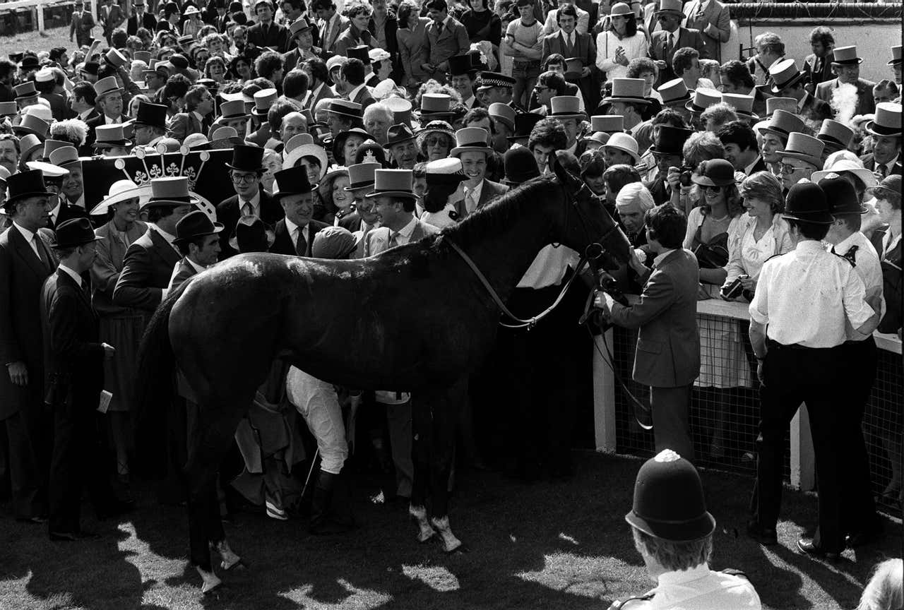 Remembering that glorious Derby and the Shergar mystery | Western Telegraph