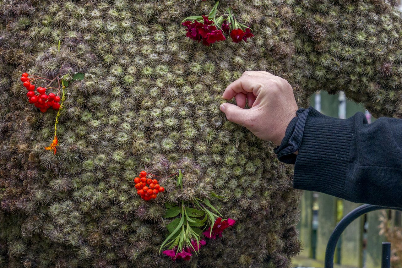 Mystery of ancient tradition makes it special, says Scots town’s ...