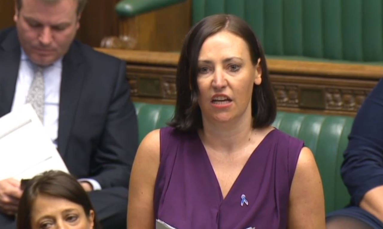 Minister insists no major welfare rebellion on the horizon after whip ...