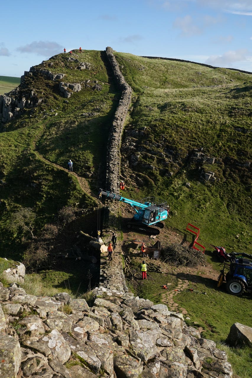 Video captures Sycamore Gap tree being cut down in less than three ...