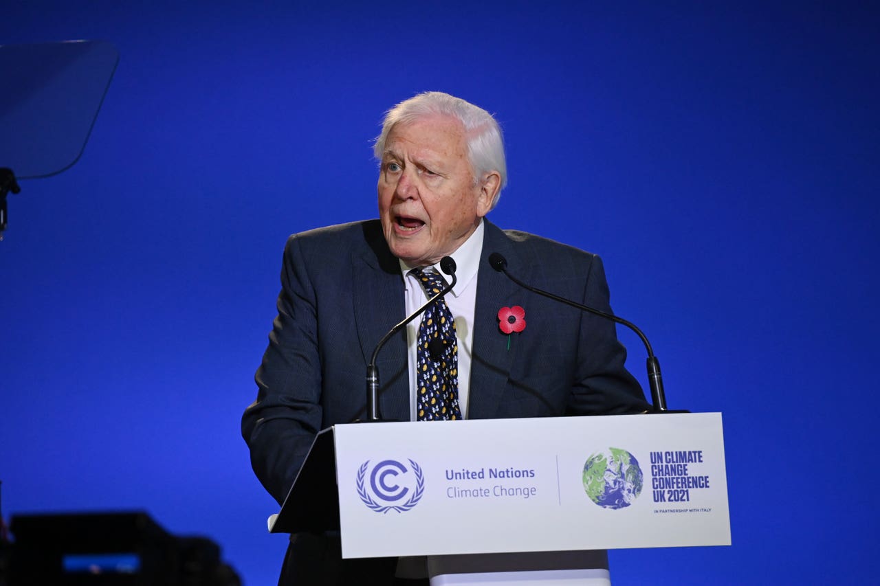 Cop26 In Pictures: World leaders meet to forge deal on climate change ...