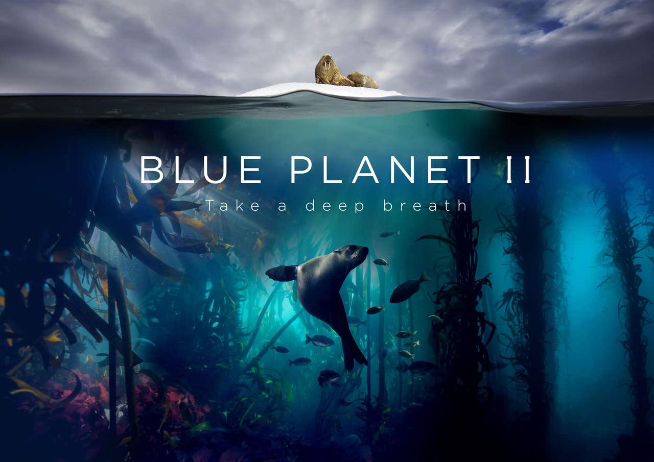 Blue Planet launches spin-off as part of ‘modernisation’ of BBC daytime ...