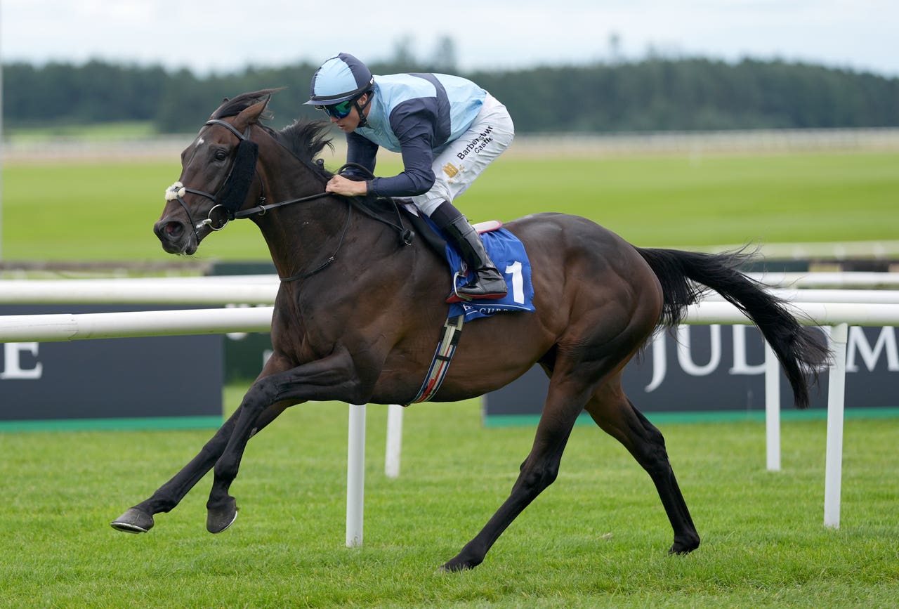 Jamie Melham becomes second woman to win Melbourne Cup on Half Yours ...