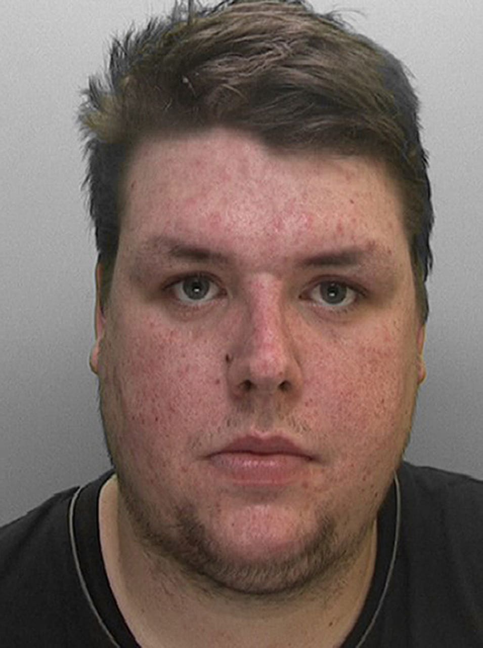 Racist jailed for posting ‘abhorrent’ photo of his dog doing Nazi ...
