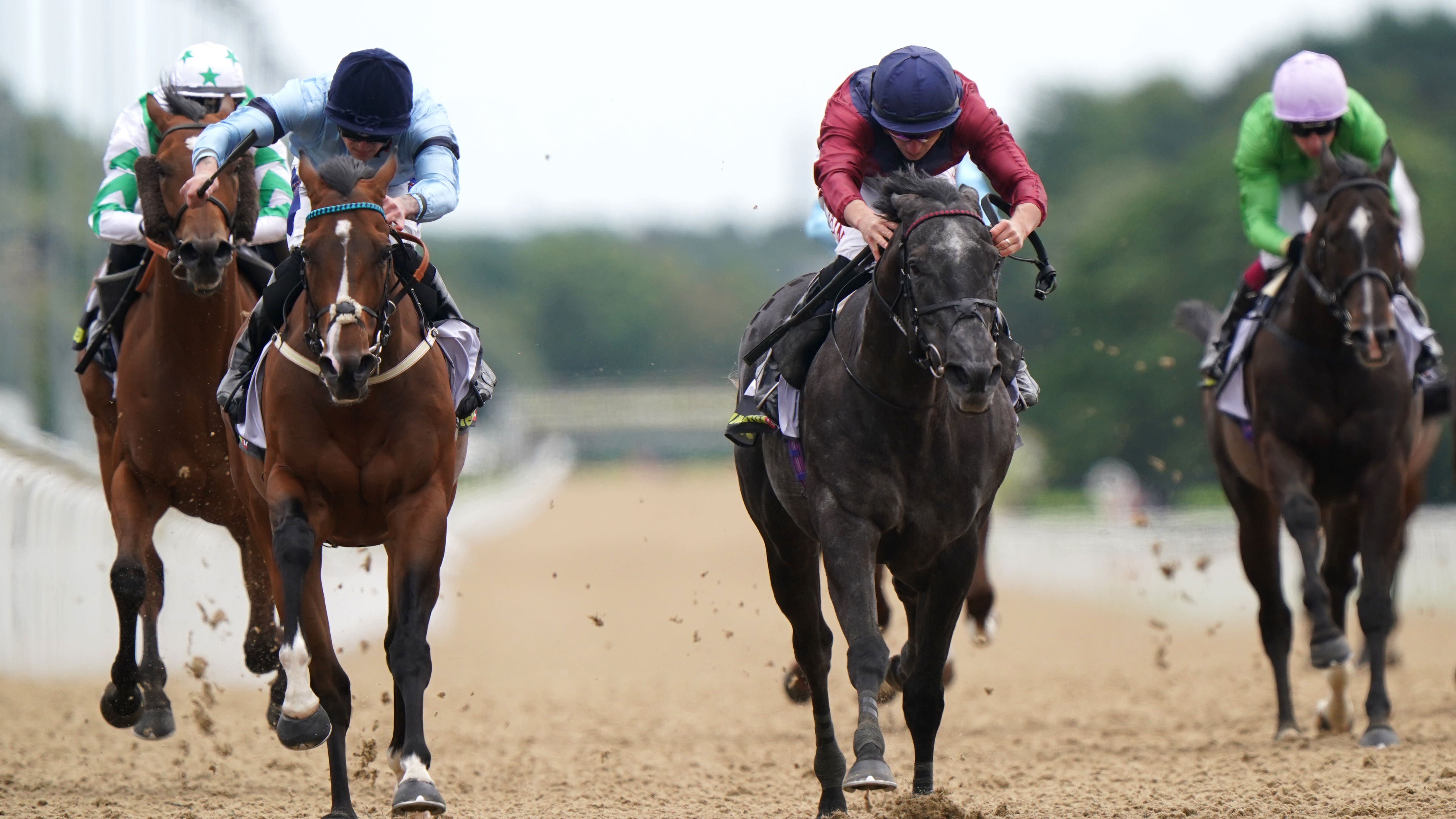 Chipchase winner Tiber Flow testing waters at five furlongs