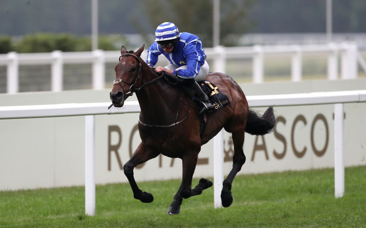 Bloom has Royal Ascot plans for Poniros and Lake Forest | The National