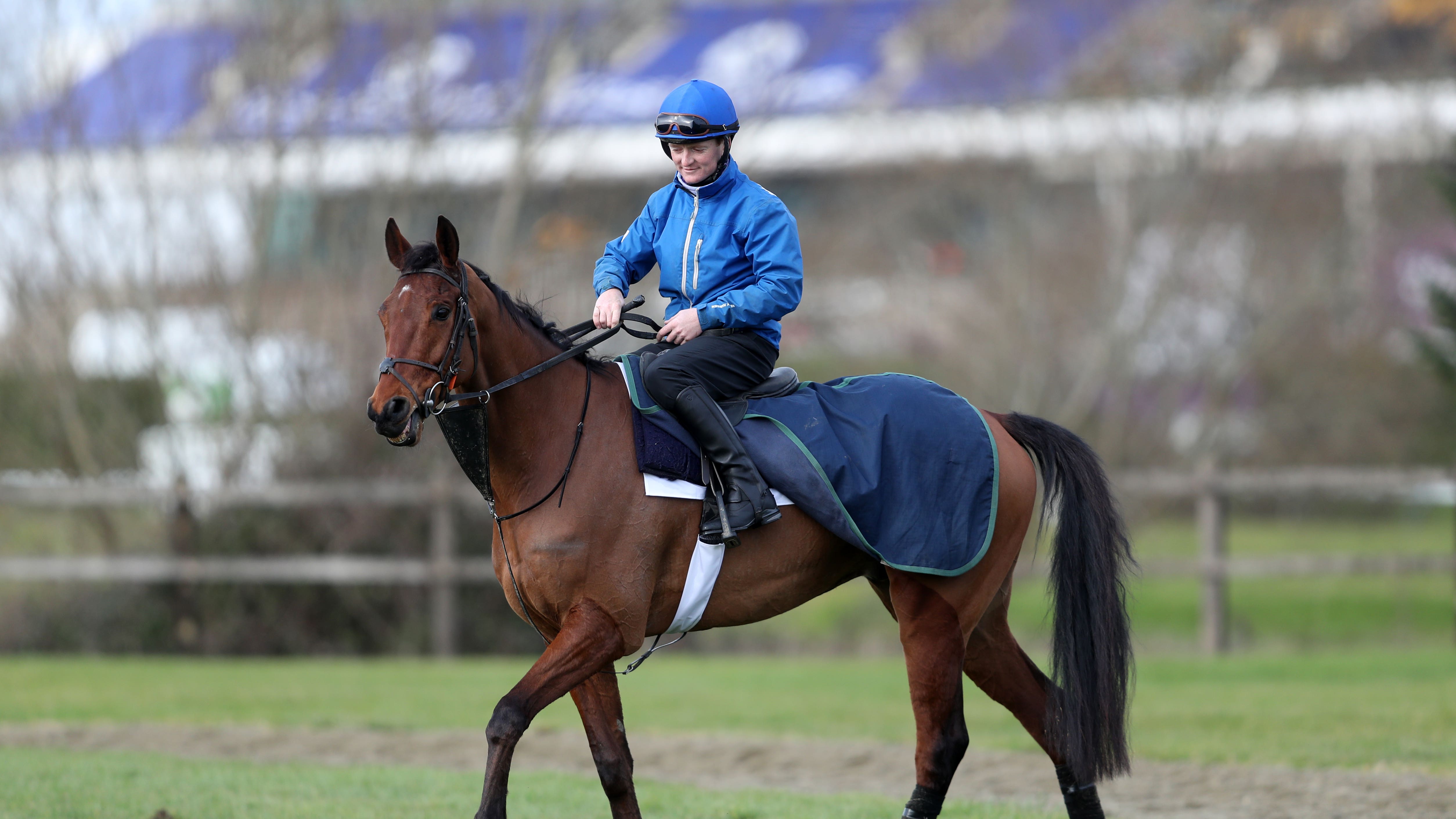 Ballymore Novices' Hurdle: Bob Olinger refreshed ahead of bid for De ...