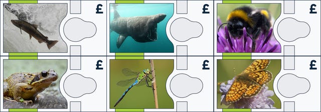 Bank of England reveals which animals could feature on its new-look ...