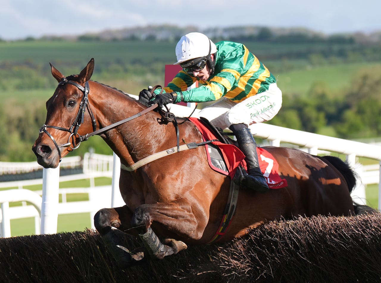 L’Homme Presse primed for Cotswold repeat | Great Yarmouth Mercury