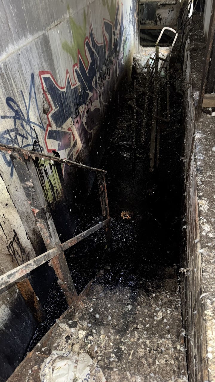 Fox stuck in oil rescued after two eyes spotted in ‘tar-like substance ...