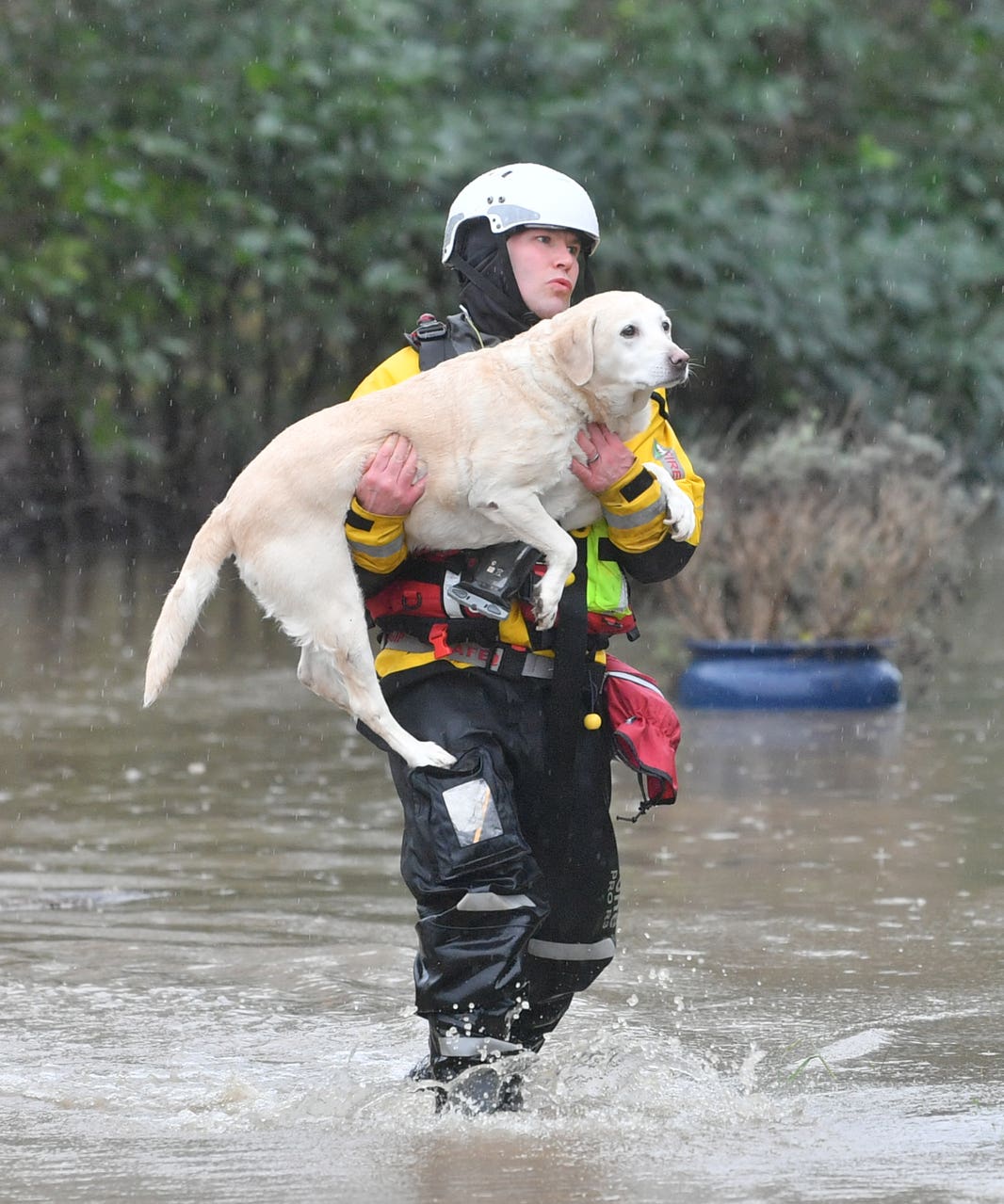 Dogs and their owners rescued from flooding in Wales | Bradford ...