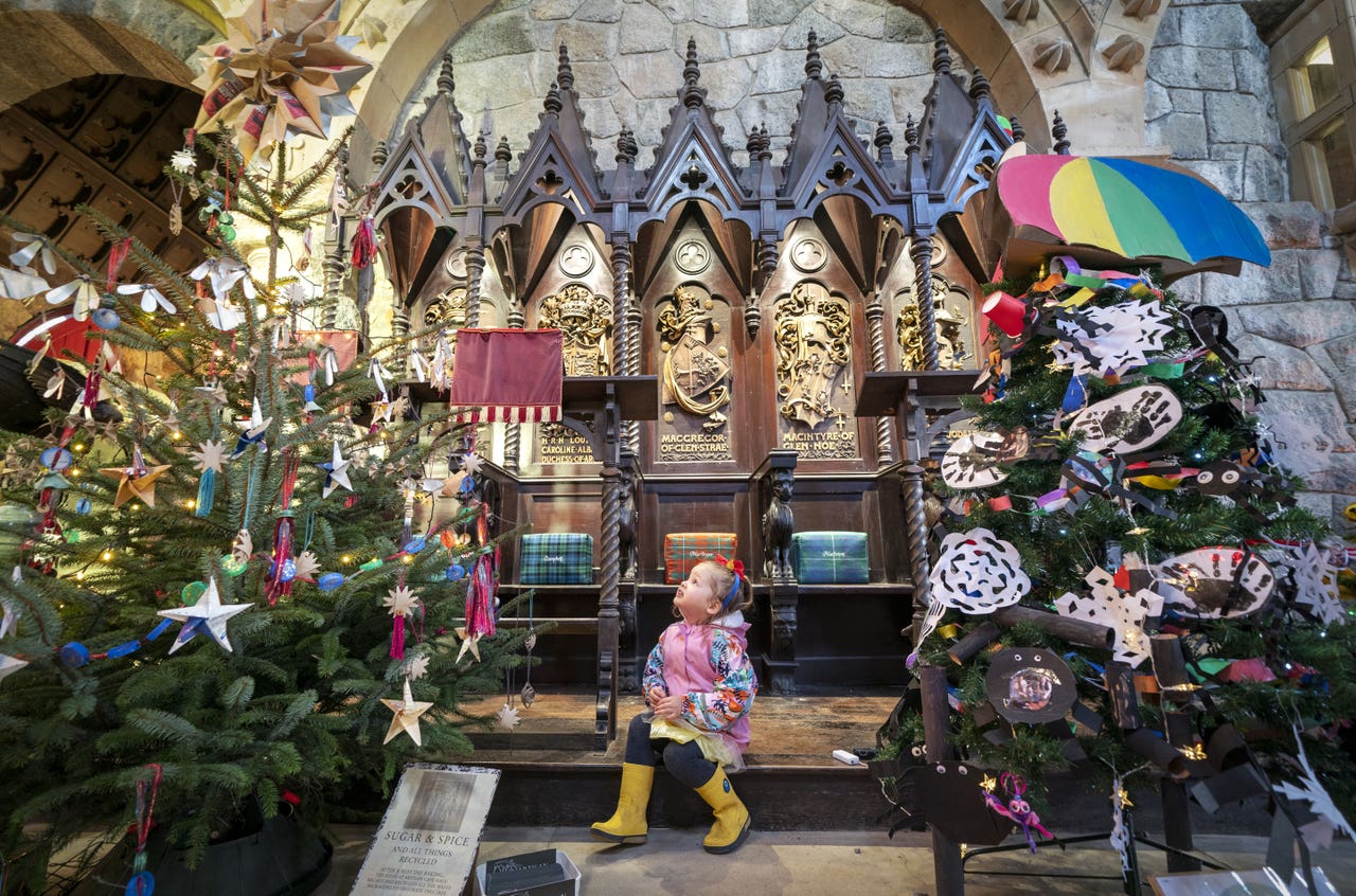 In Pictures: Trimming the trees – all 63 - at Scottish Christmas Tree ...