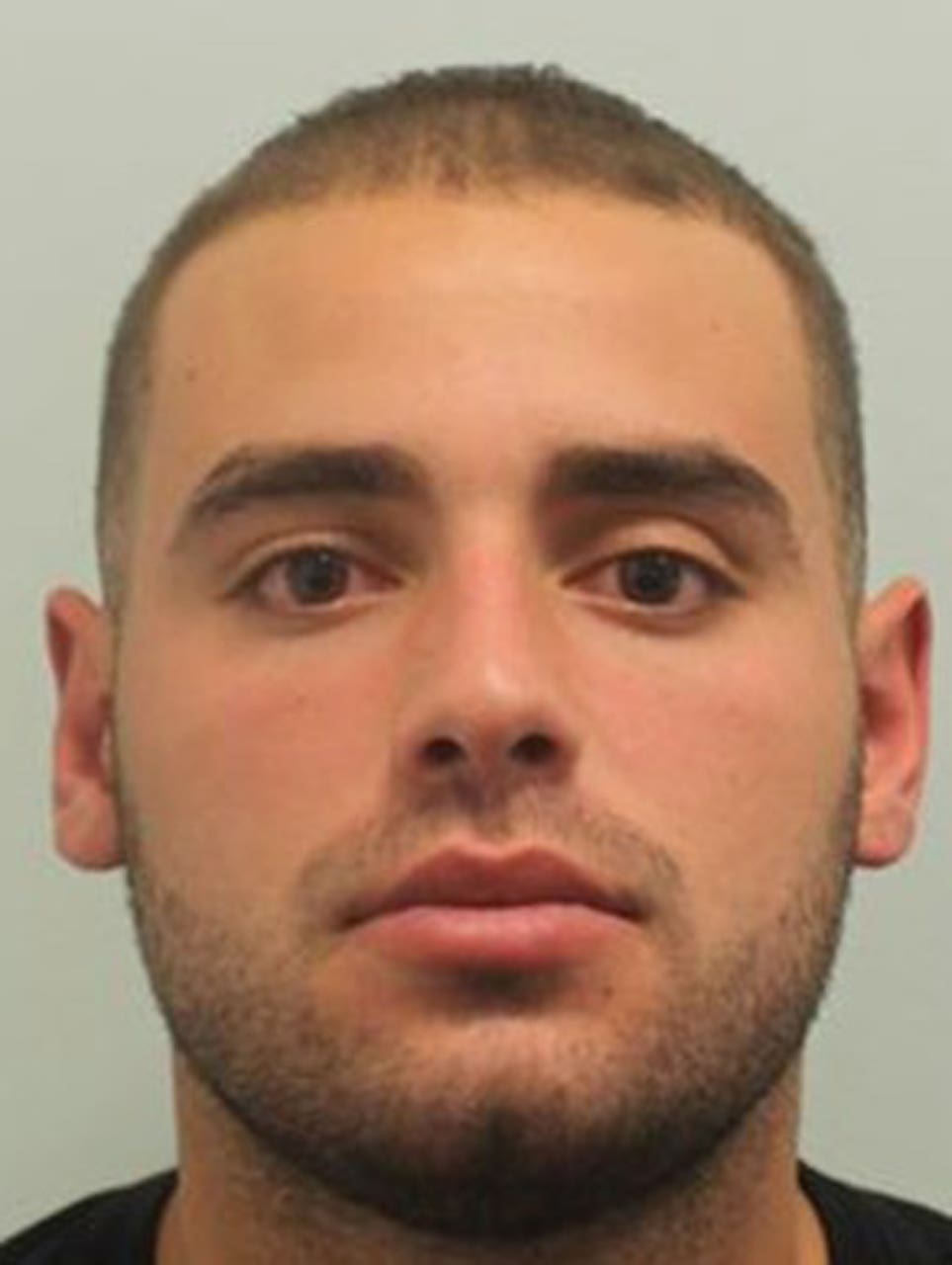 Man pleads guilty to manslaughter of National Gallery attack victim ...