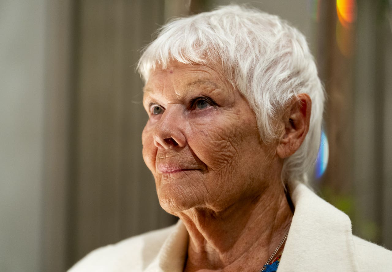 Doctor Who star and Dame Judi Dench join calls to end arms sales to ...