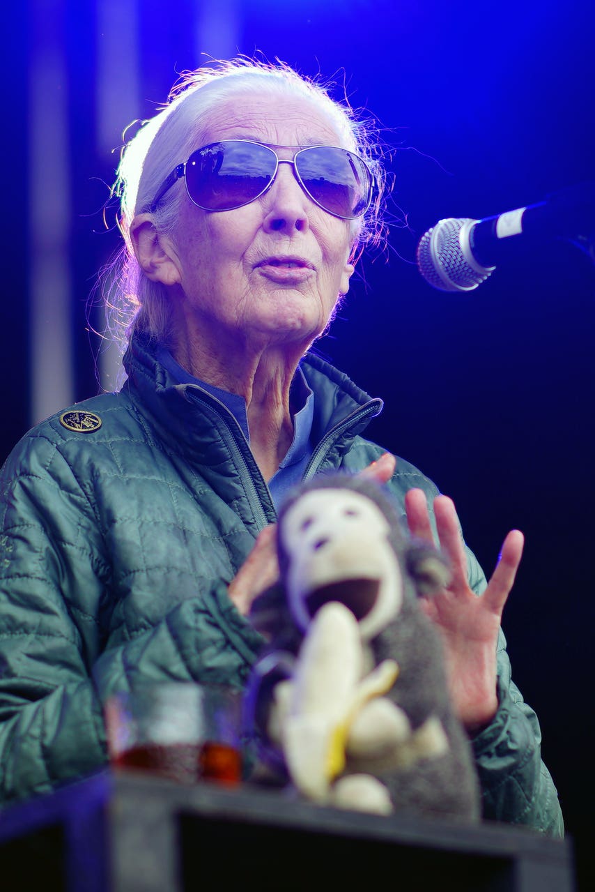 Conservationist and chimpanzee expert Dame Jane Goodall dies aged 91 ...