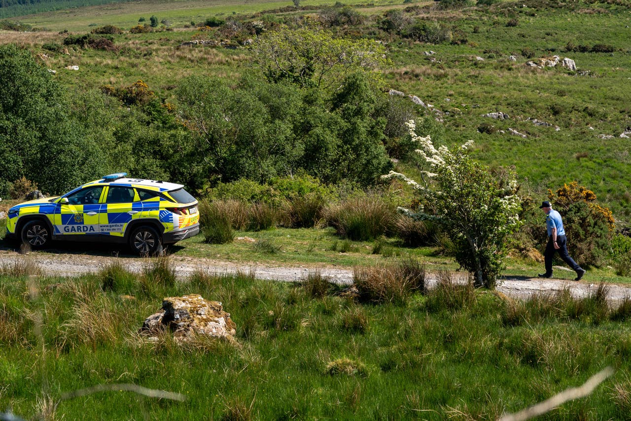 Human remains confirmed as those of missing Co Kerry farmer Michael ...